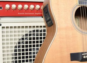 Which Acoustic or Electro Acoustic Guitar Should You Choose?