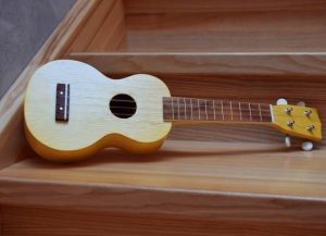 Banjolele vs Ukulele: Which One Outweighs The Other?